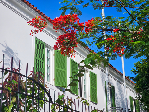 Interior Design Trends 2025: Shutters & Style Insights